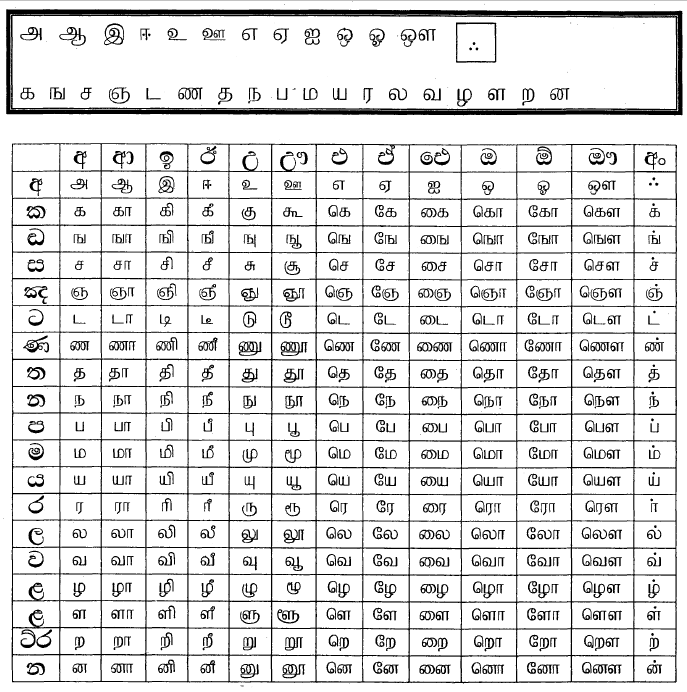 Tamil Alphabet- தமிழ் அரிச்சுவடி - දෙමළ හෝඩිය - Adsayam Tamil News